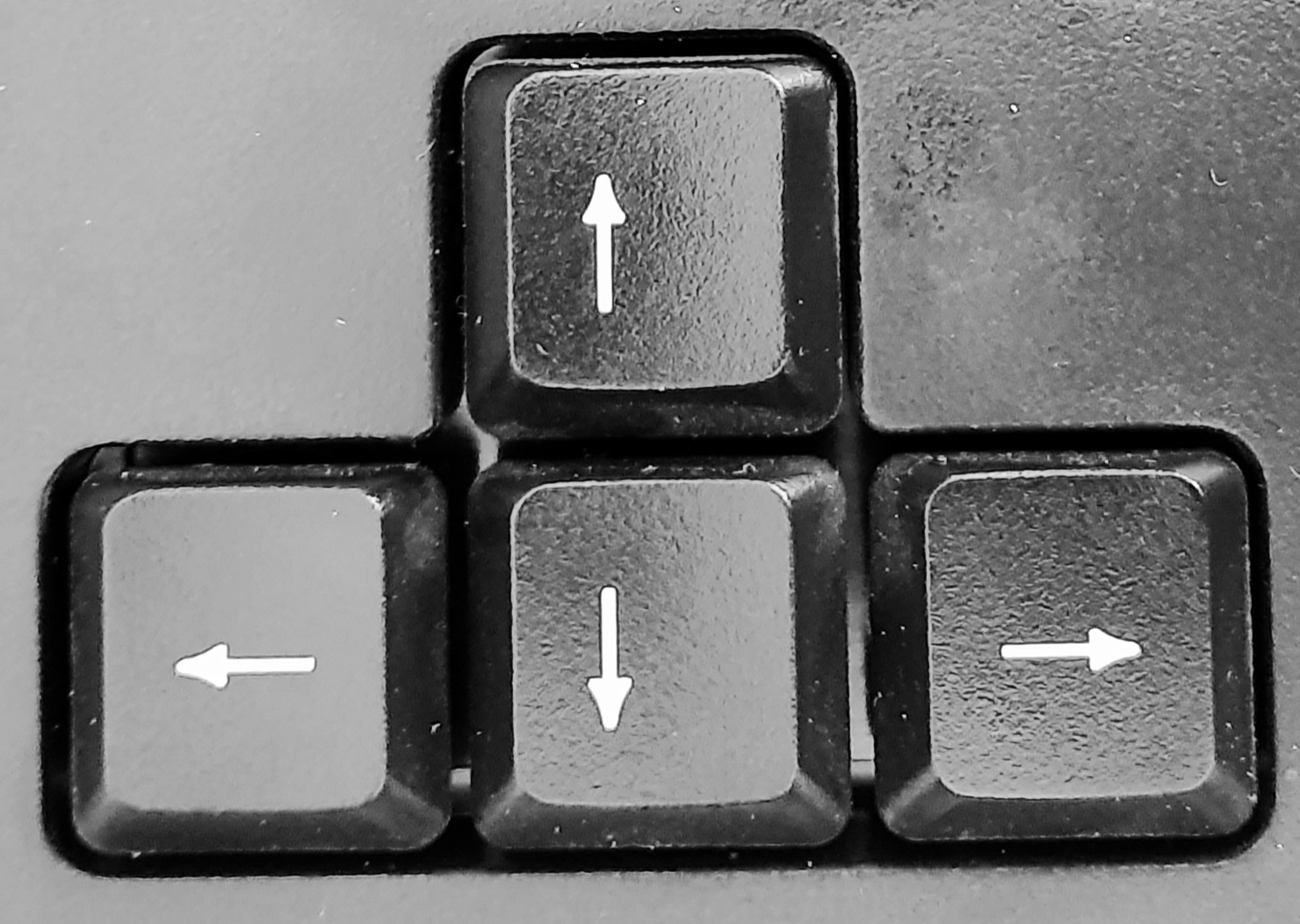 All About Columns, Rows and Cells in Excel, and How To Manage Them ...