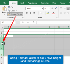 How To Copy Columns Width and Rows Height in Excel – OfficeTuto